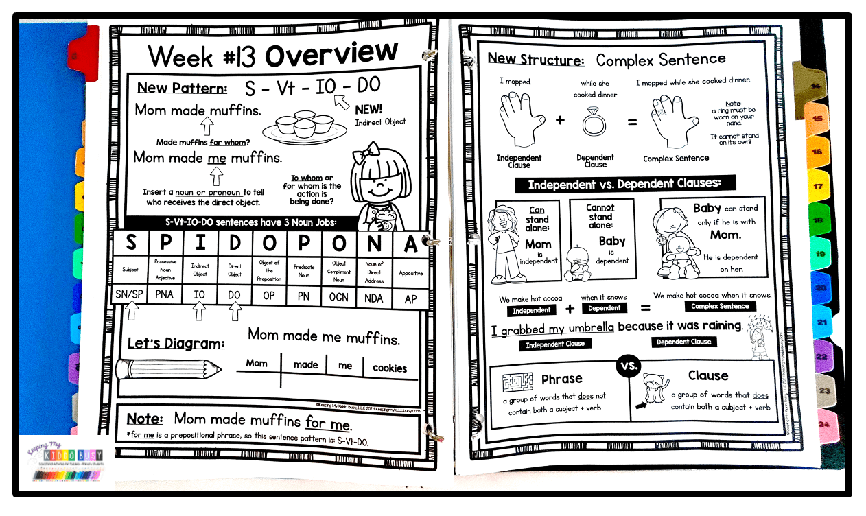 Essentials Week 1 Grammar - FREE Activities and Lessons — Keeping My ...