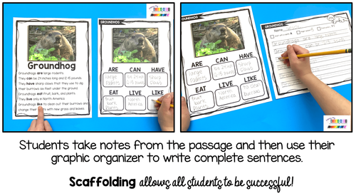 Groundhog Day in Kindergarten and First Grade FREEBIE — Keeping My ...