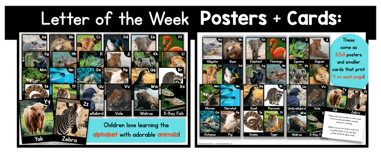 Letter of the Week Curriculum - FREE Activities for Preschool and ...