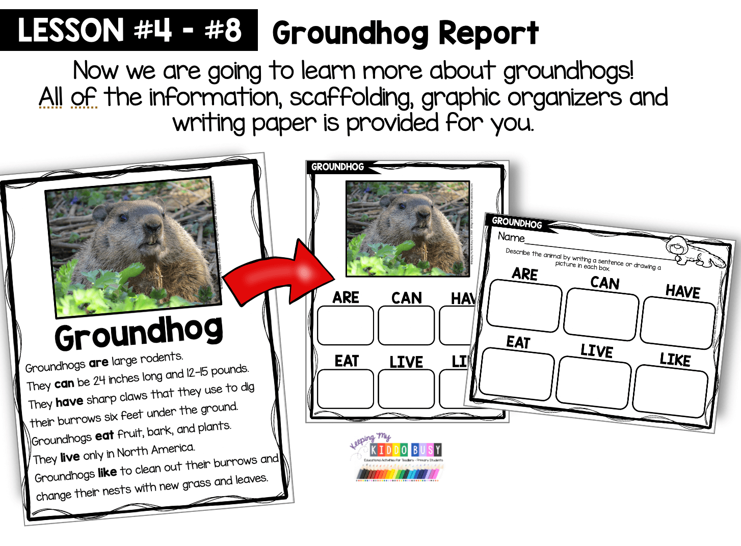 Groundhog Day in Kindergarten and First Grade FREEBIE — Keeping My ...