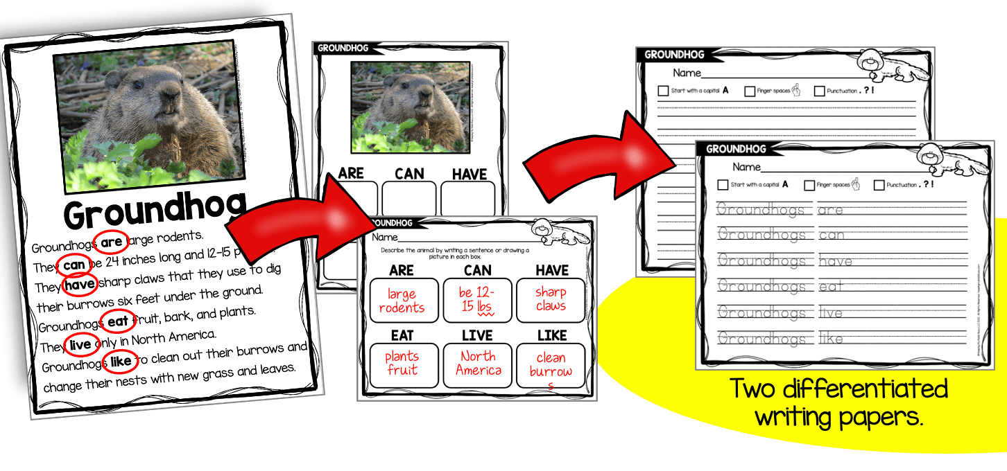 Groundhog Day in Kindergarten and First Grade FREEBIE — Keeping My ...