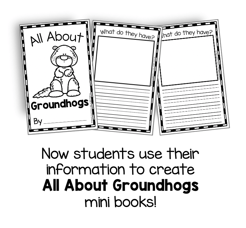 Groundhog Day in Kindergarten and First Grade FREEBIE — Keeping My ...