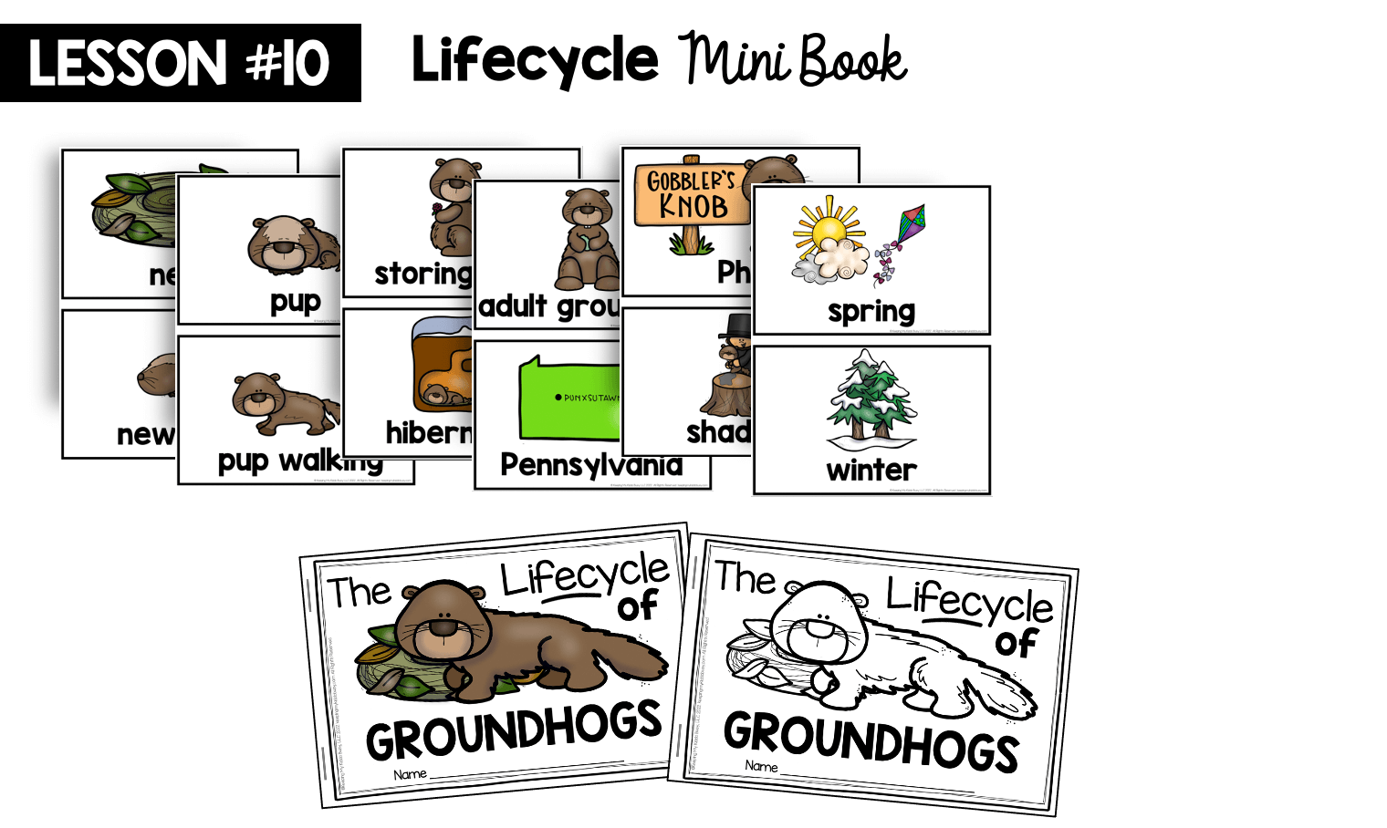 Groundhog Day in Kindergarten and First Grade FREEBIE — Keeping My ...