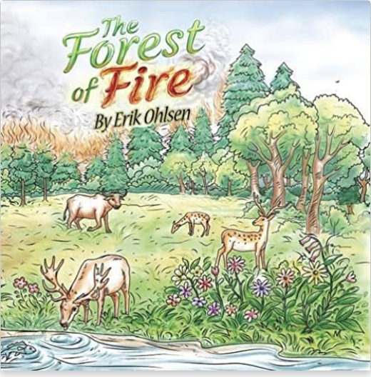 Fire Safety Week - FREE activities - Kindergarten and First Grade ...