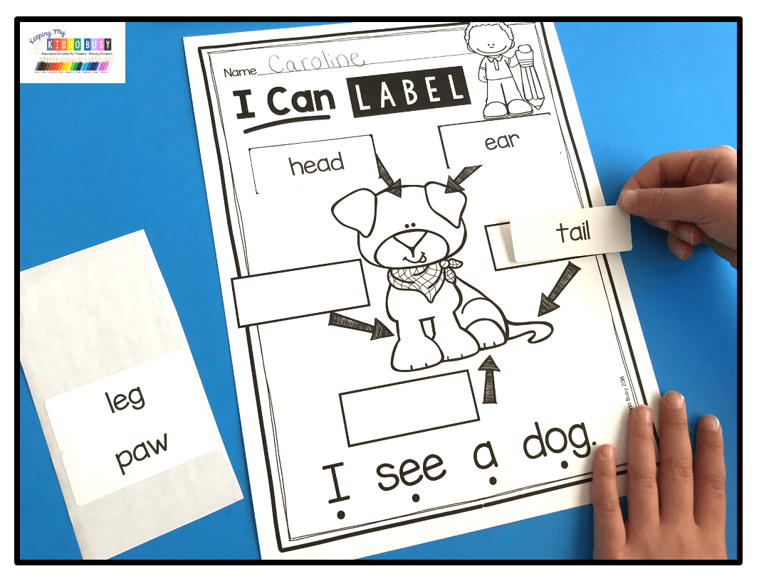 Writing at the Beginning of the Year in Kindergarten - LABELING FREEBIE ...