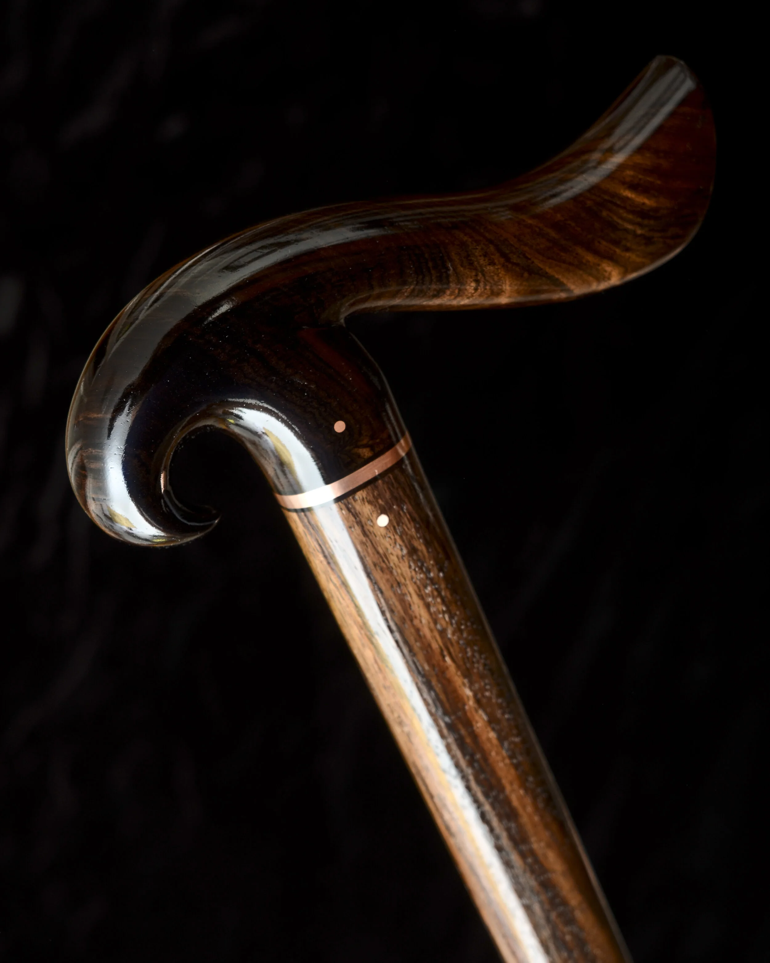 Handmade Bird Handle Walking Cane — Gillis Canes, LLC
