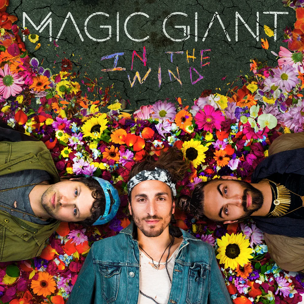 MAGIC GIANT