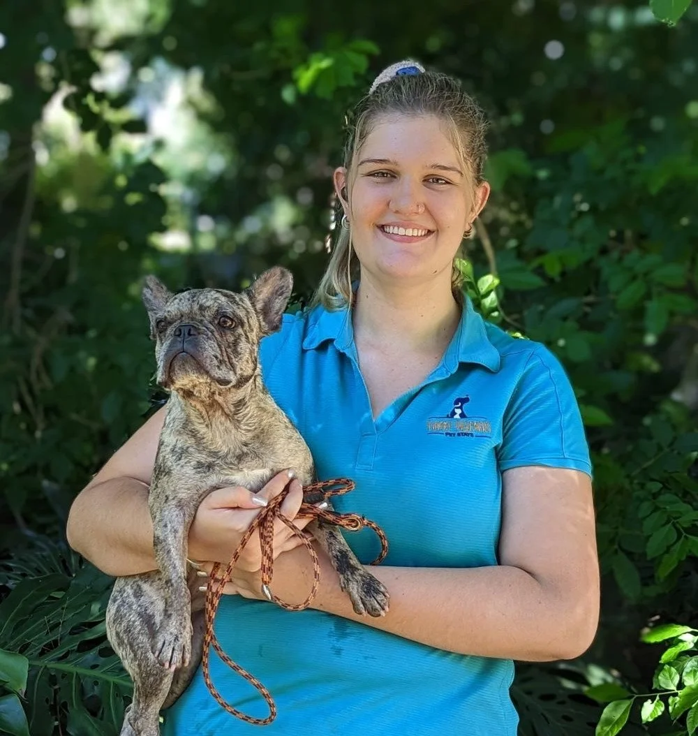 Furry Friends Pet Stays