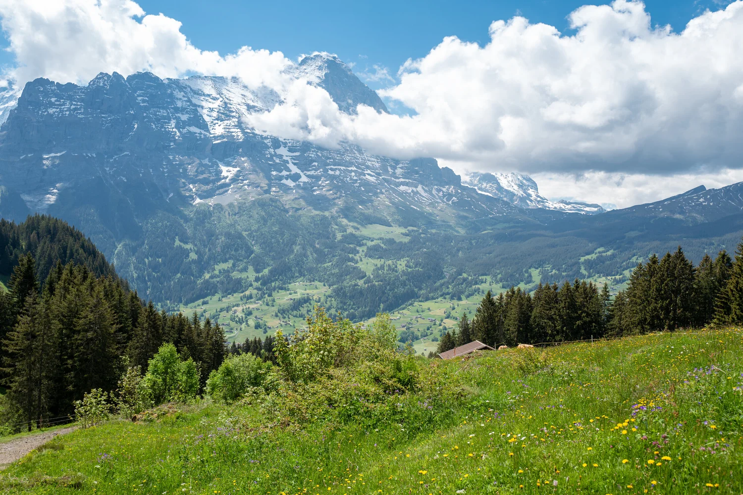 A Magnificent Hike in Grindelwald — Project Five Studios