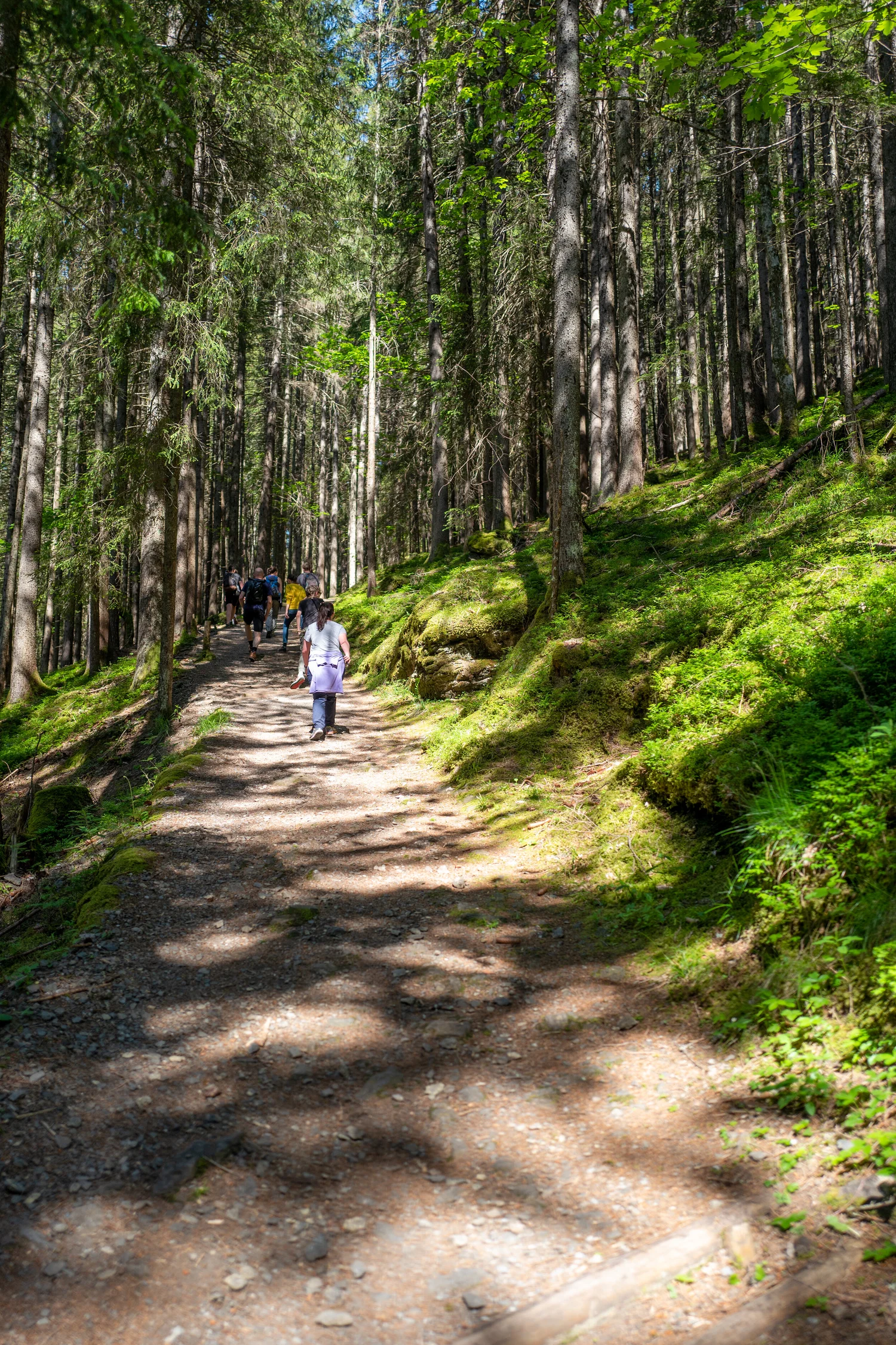 A Magnificent Hike in Grindelwald — Project Five Studios