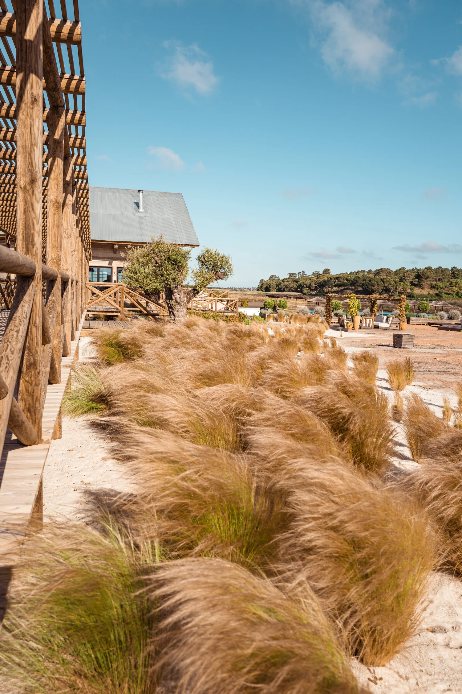 An Insider's Guide to Comporta — PROJECT FIVE STUDIOS