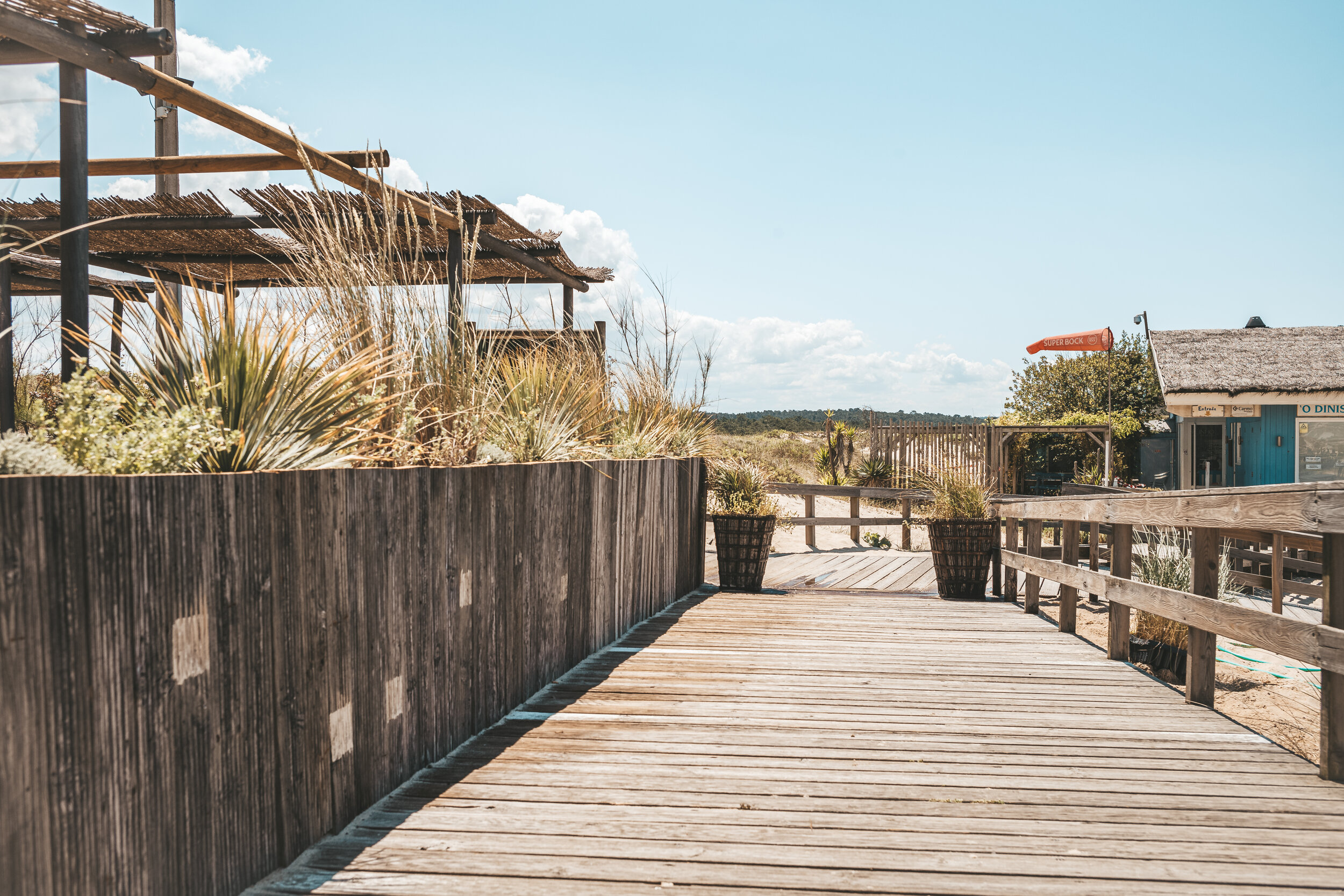 An Insider's Guide to Comporta — PROJECT FIVE STUDIOS