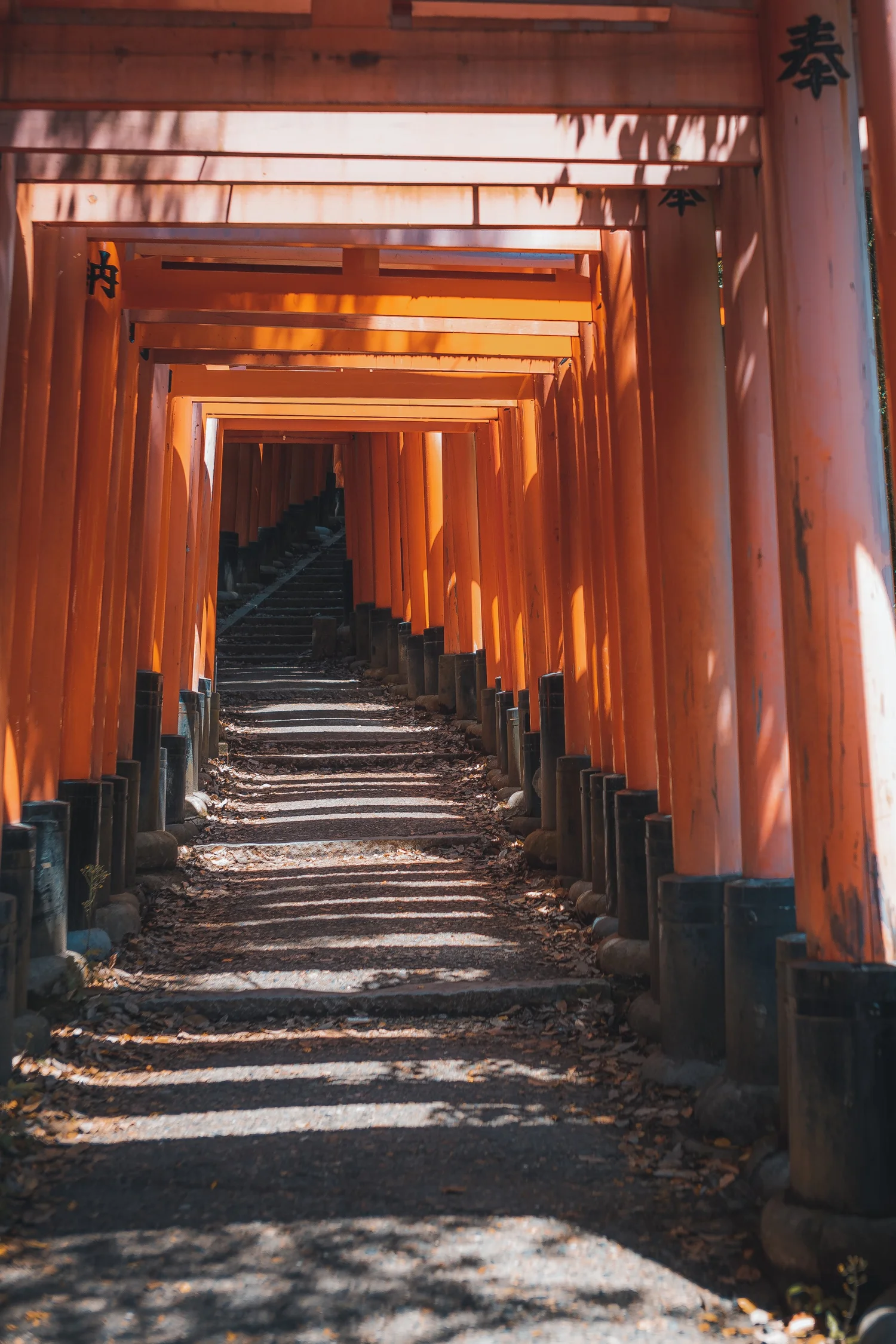 A Guide to Kyoto Japan — PROJECT FIVE STUDIOS