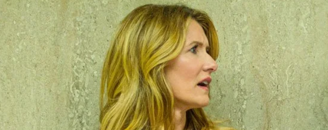 Laura Dern’s 10 Best Performances — World of Reel
