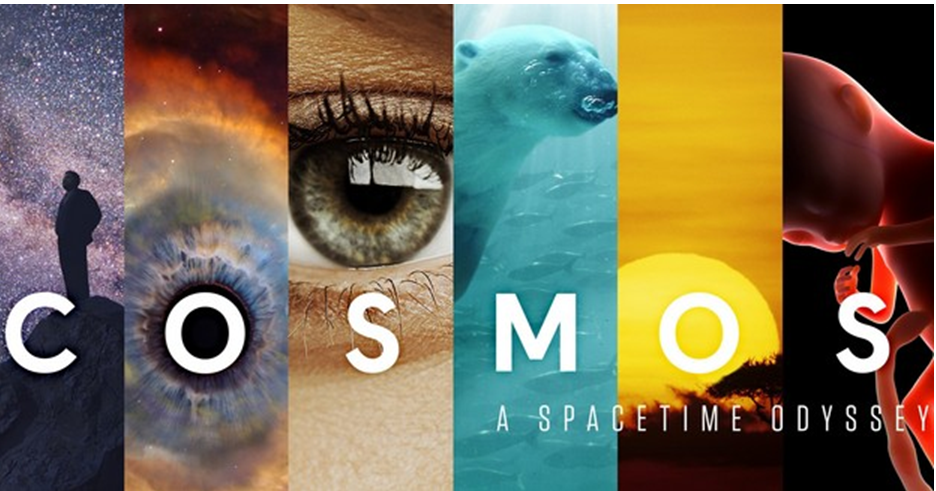 5 of The Most Beautiful Nature Documentaries Ever Released — World of Reel