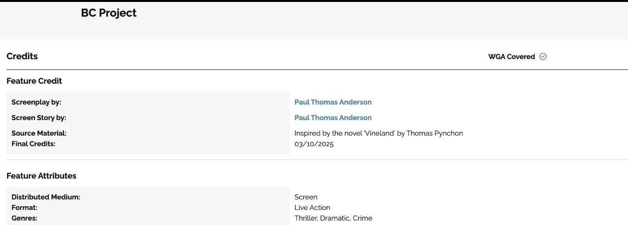 PTA’s ‘One Battle After Another’ Was “Inspired” by ‘Vineland’ — World ...