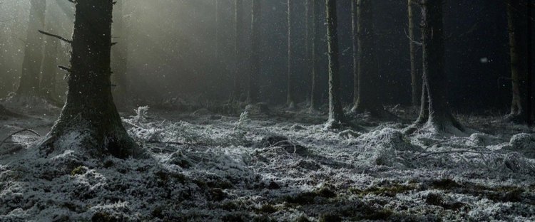 First Look at Robert Eggers’ ‘Werwulf’ is A Gloomy Forrest — Trailer ...