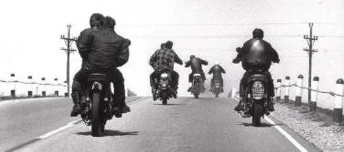 The 28 Must-See Fall Movies [Updated] — World of Reel