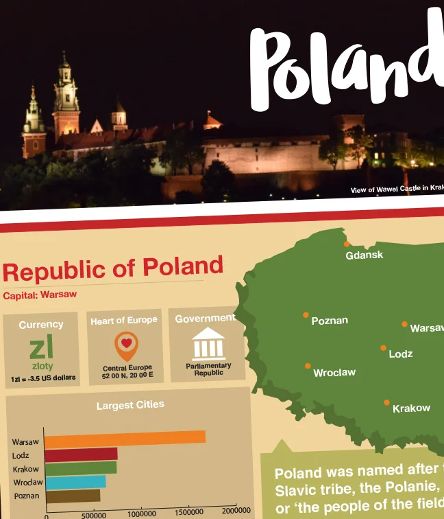 Poland Infographic — Emily Phillips Designs