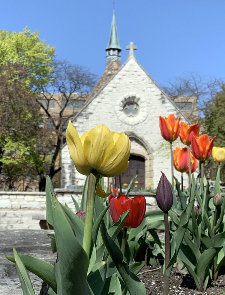 Modest Grace — C'est ma vie