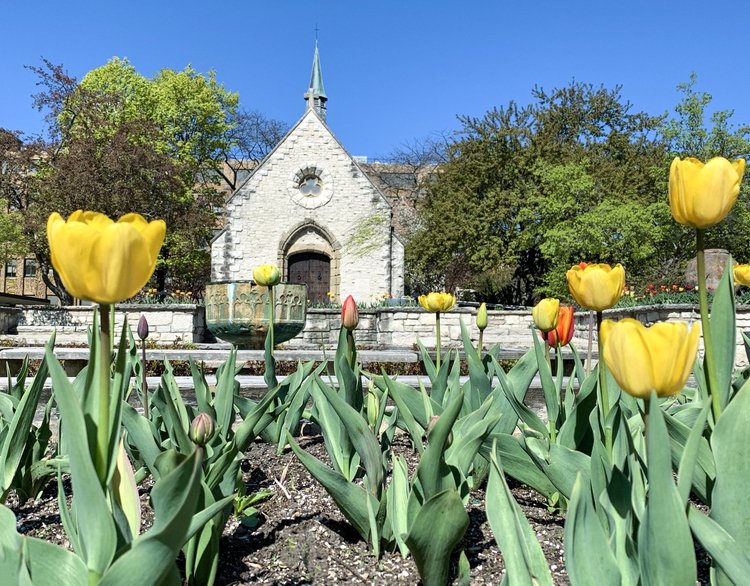 Modest Grace — C'est ma vie!