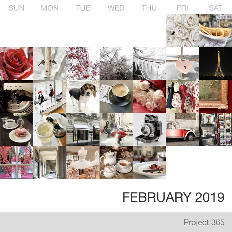 February 2019 in Pictures — C'est ma vie!