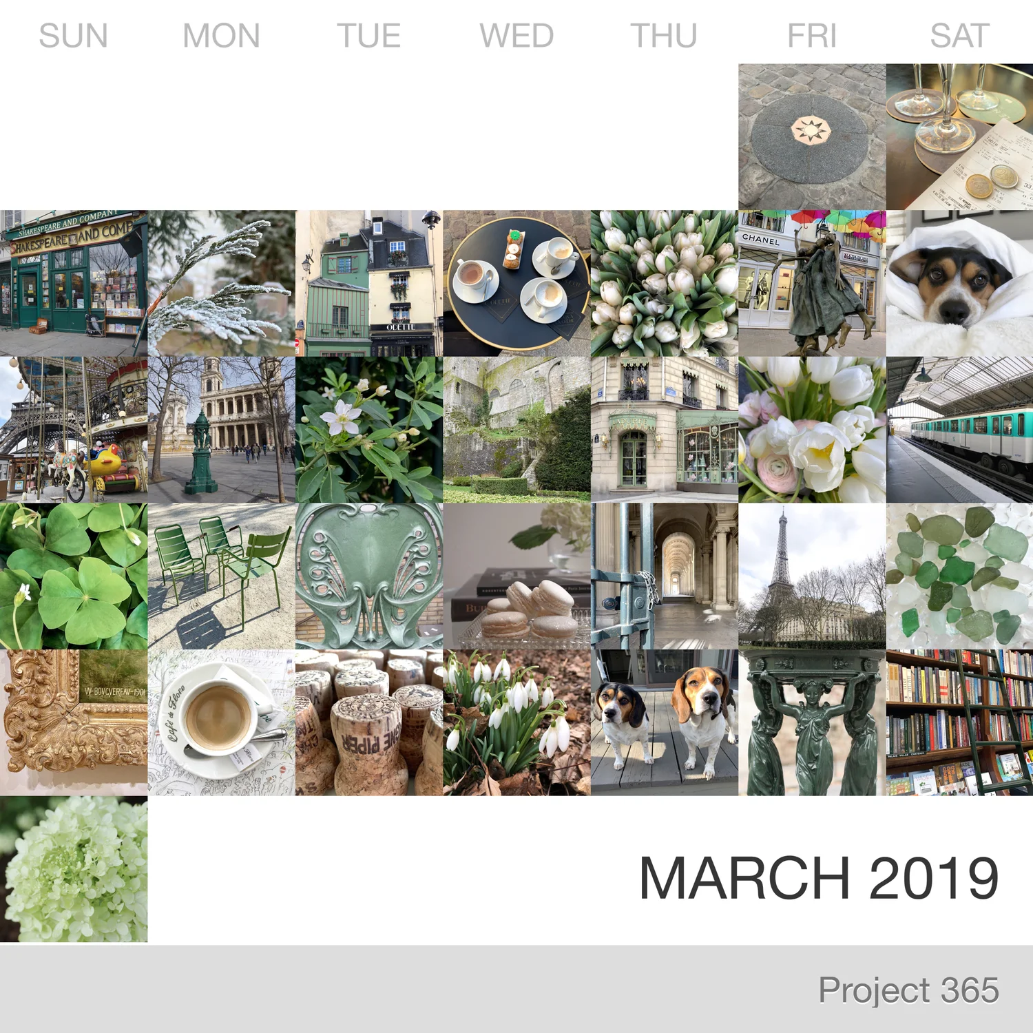 March 2019 in Pictures — C'est ma vie!