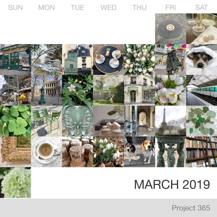 March 2019 in Pictures — C'est ma vie!