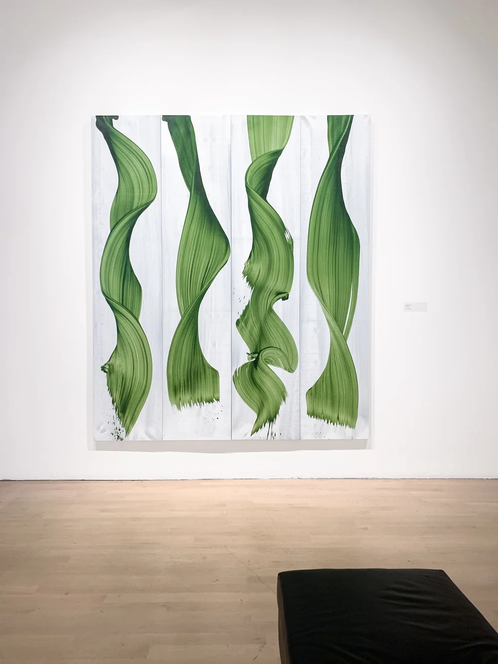 Nares Moves at Milwaukee Art Museum — C'est ma vie!