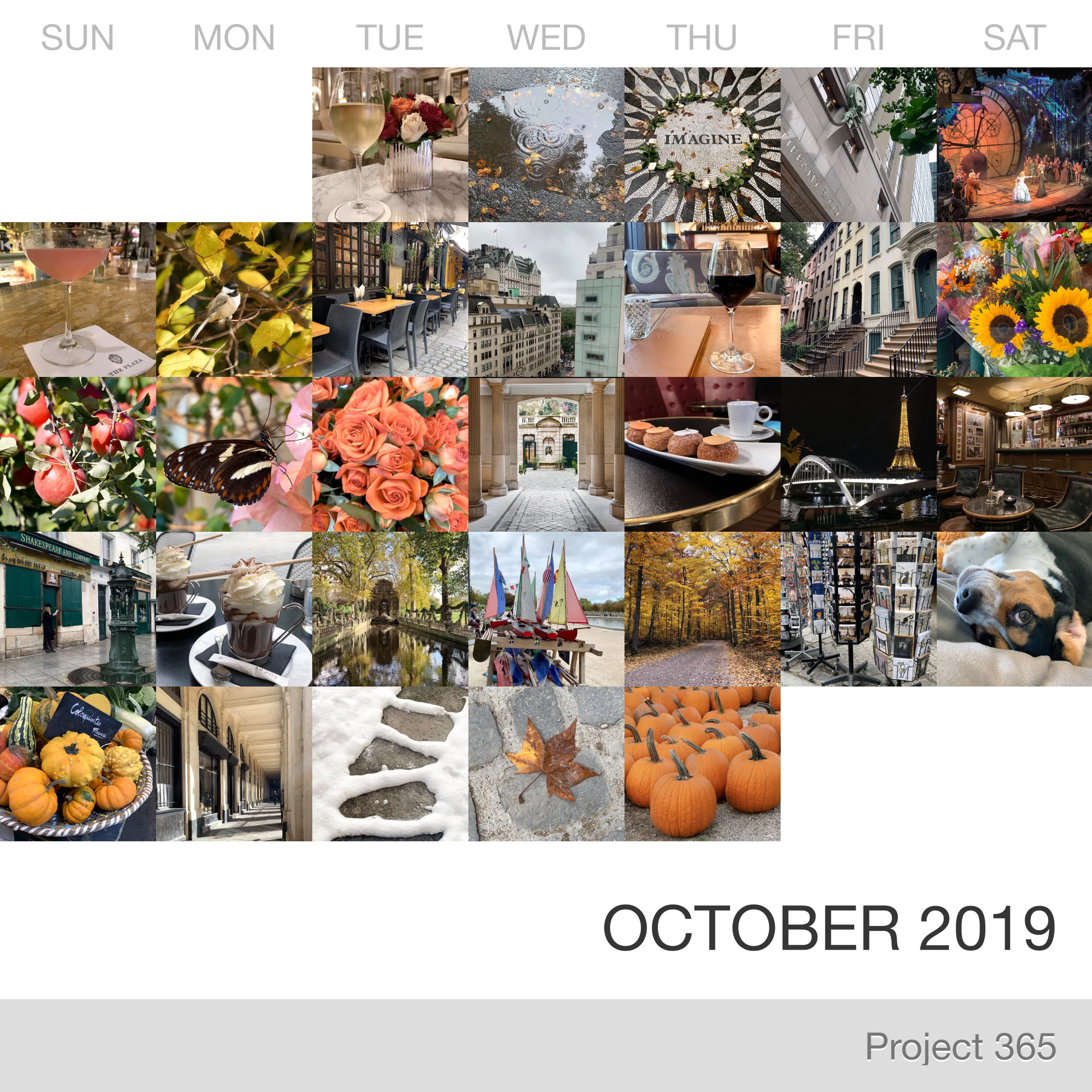 October 2019 in Pictures — C'est ma vie