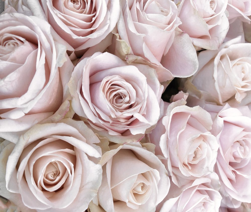 Ma Vie en Rose — C'est ma vie!