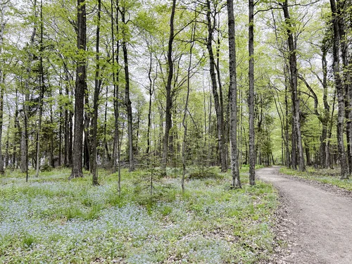 Door County - Spring 2022 — C'est ma vie