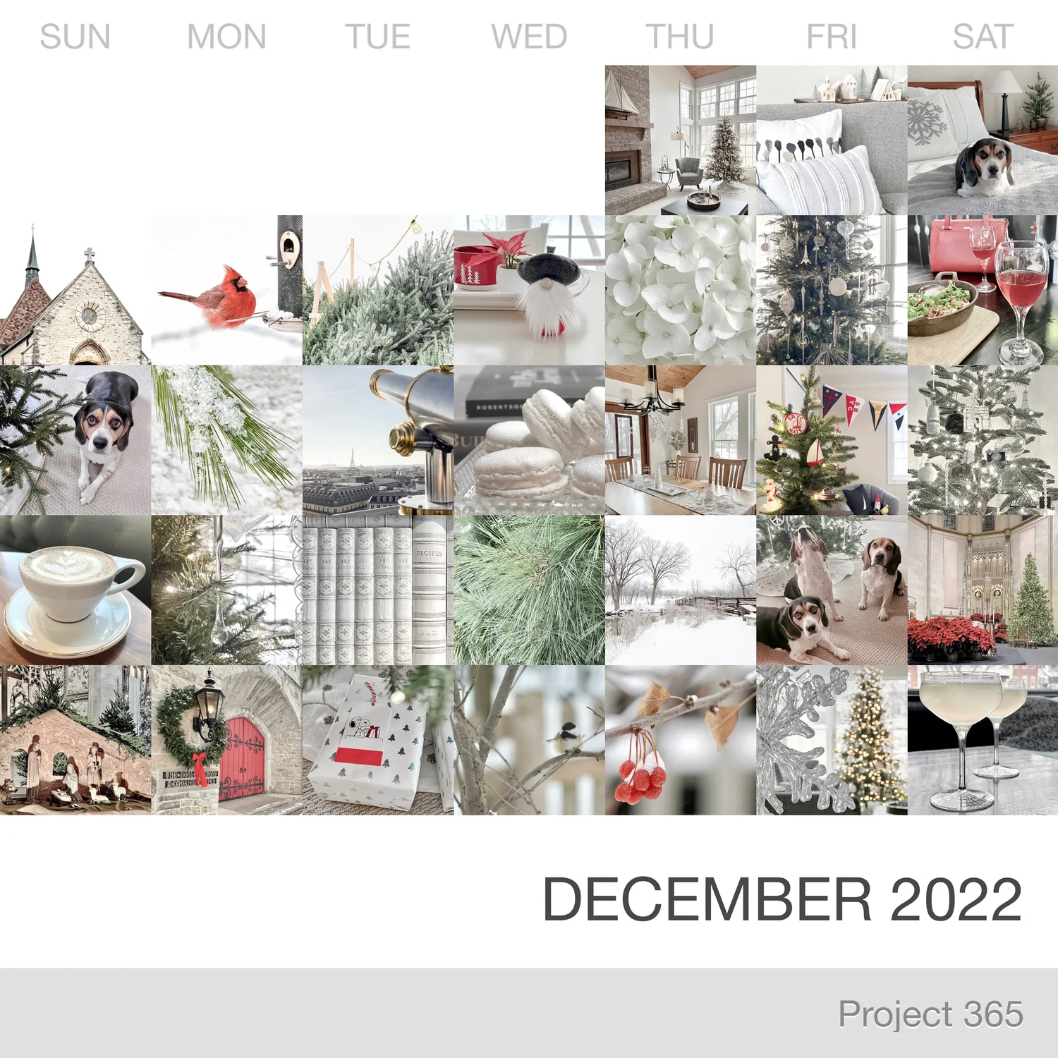 December 2022 in Pictures — C'est ma vie!