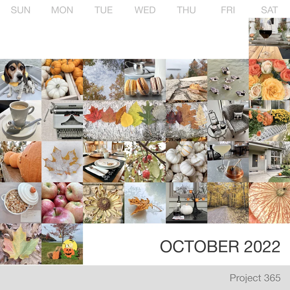 October 2022 in Pictures — C'est ma vie!