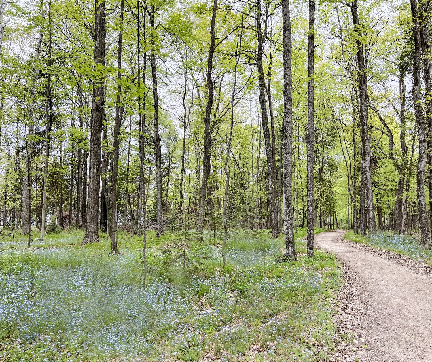 Spring in Door County 2023 — C'est ma vie