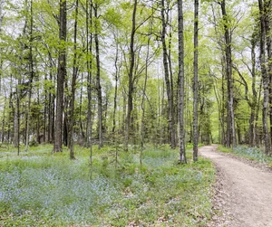 Spring in Door County 2023 — C'est ma vie