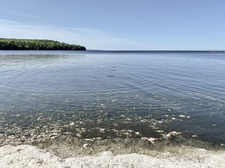Summer Scenes 2023 — C'est ma vie