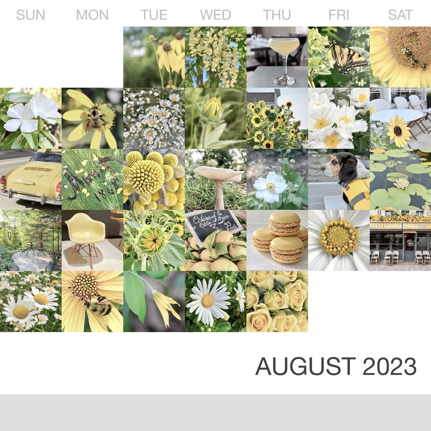 August 2023 in Pictures — C'est ma vie