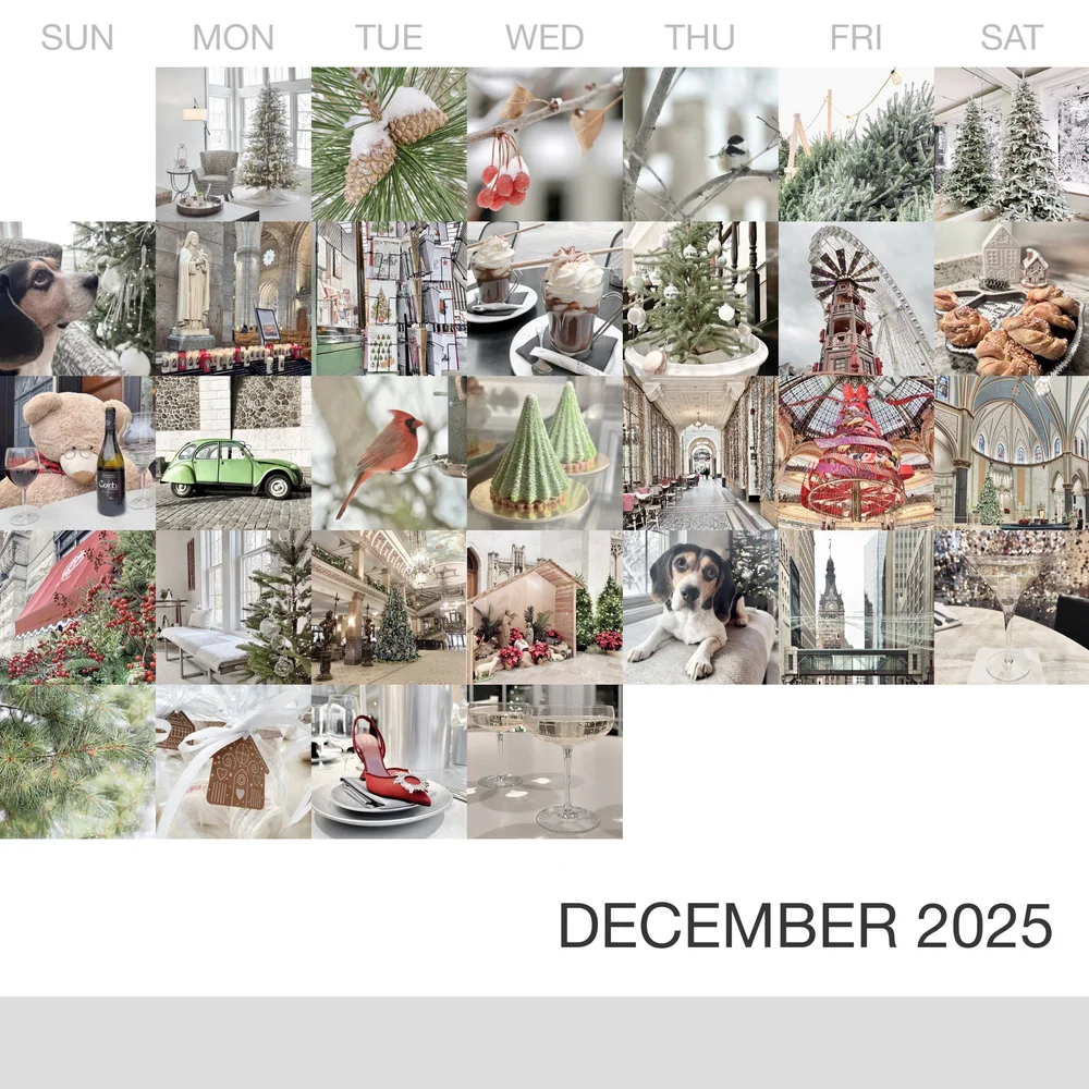 December 2025 — C'est ma vie