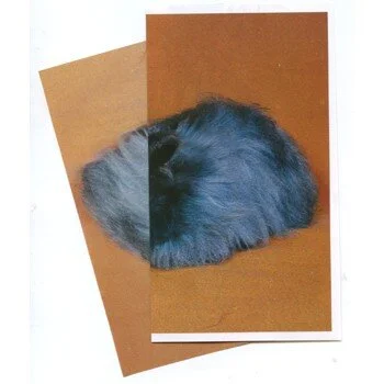 DEAR DAVE Magazine DEAR DAVE, MAGAZINE WINS LUCIE AWARD.