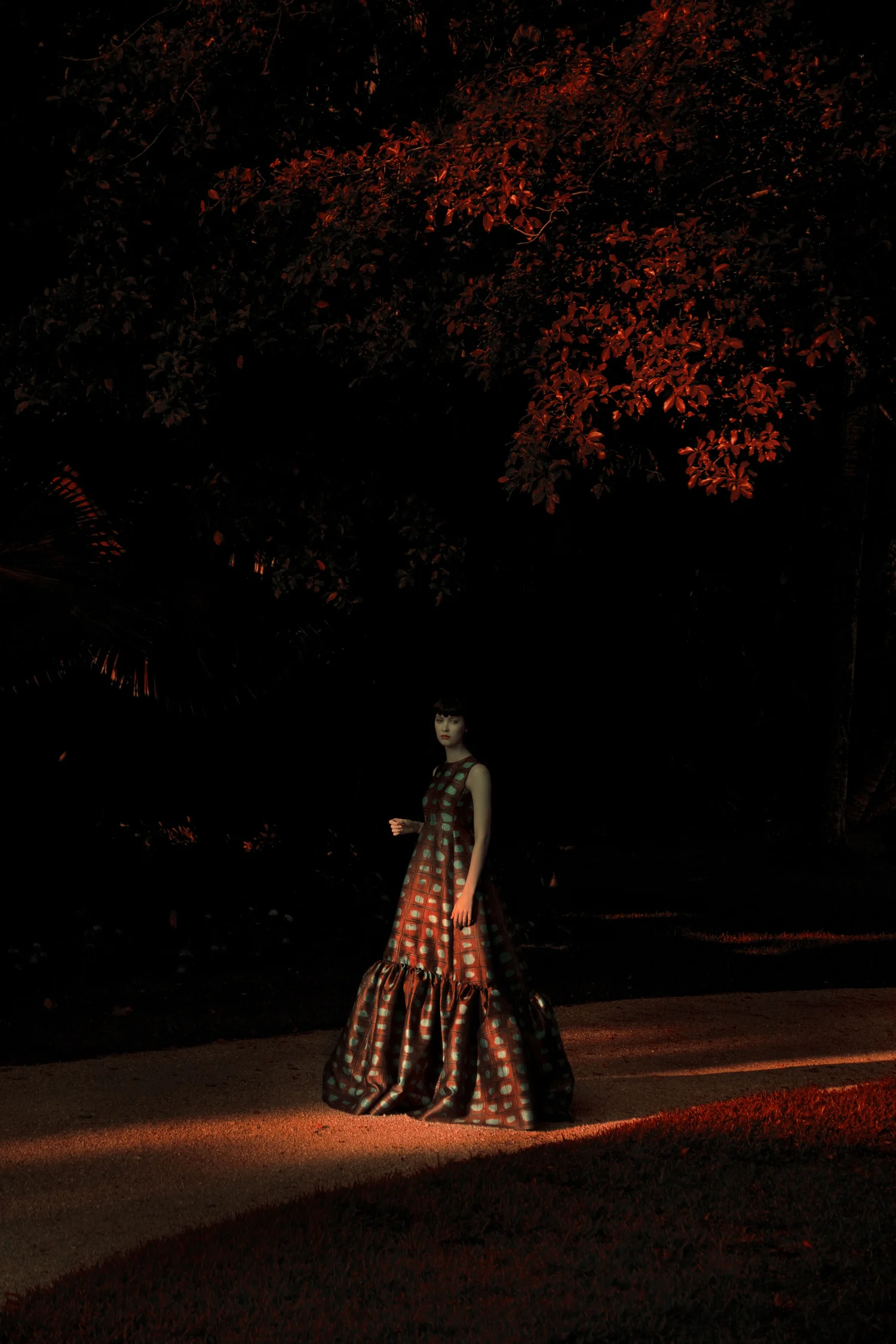 DEAR DAVE, MAGAZINE OF NEW PHOTOGRAPHY