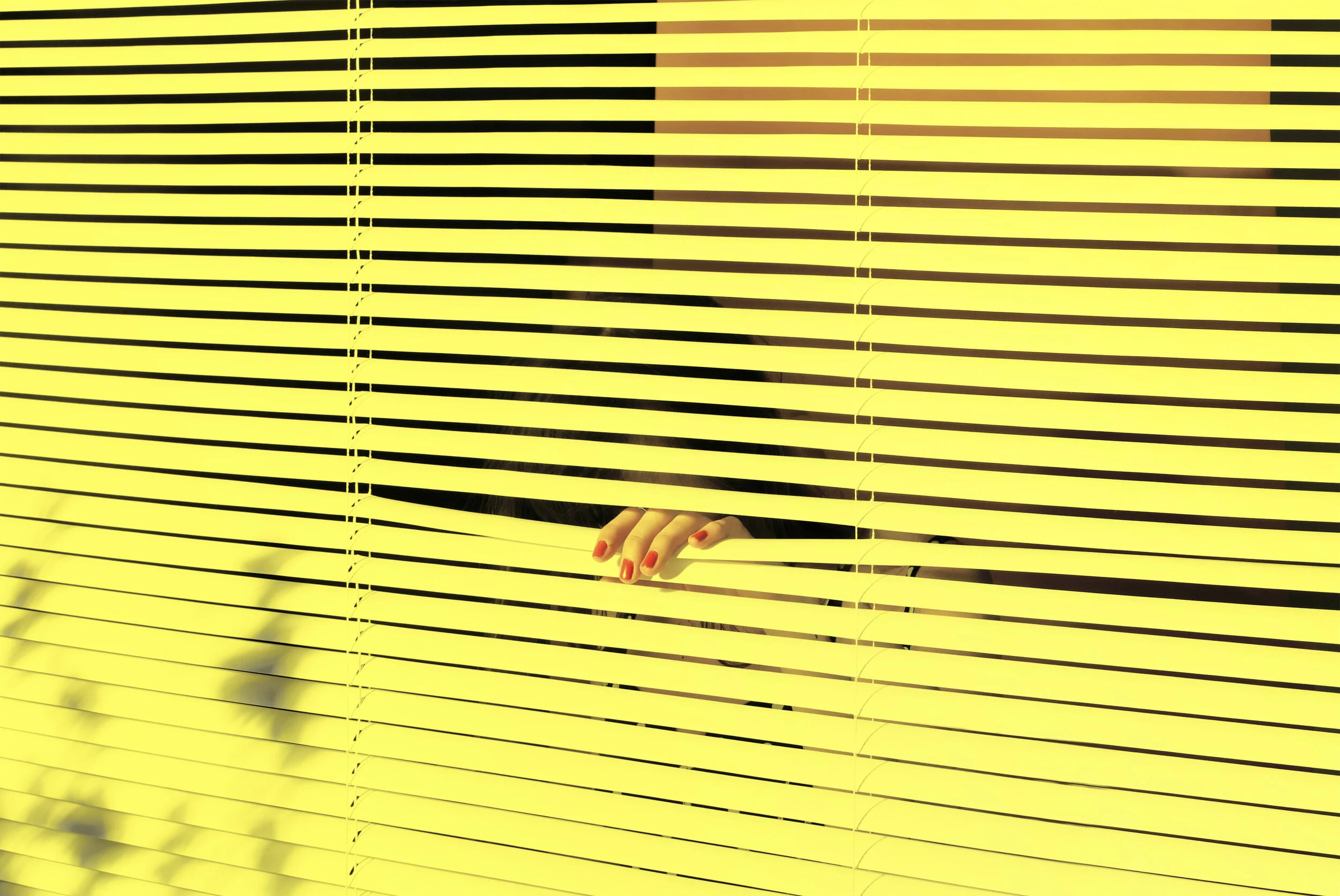 DEAR DAVE Magazine DEAR DAVE, MAGAZINE WINS LUCIE AWARD.