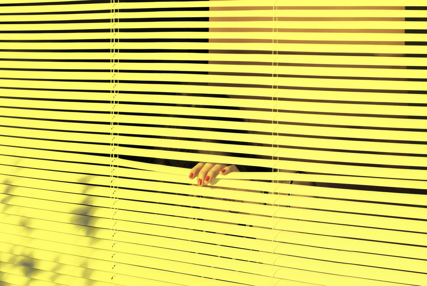 DEAR DAVE Magazine DEAR DAVE, MAGAZINE WINS LUCIE AWARD.