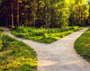 New path ahead — Adventure Crew