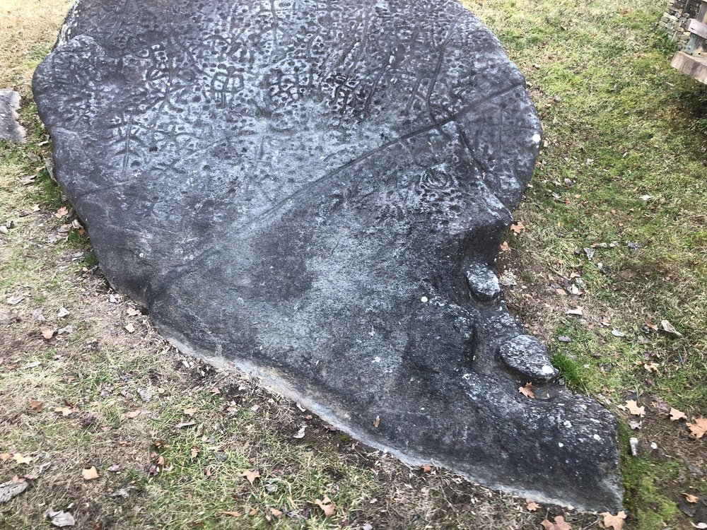 Welcome to DrBatten.com!