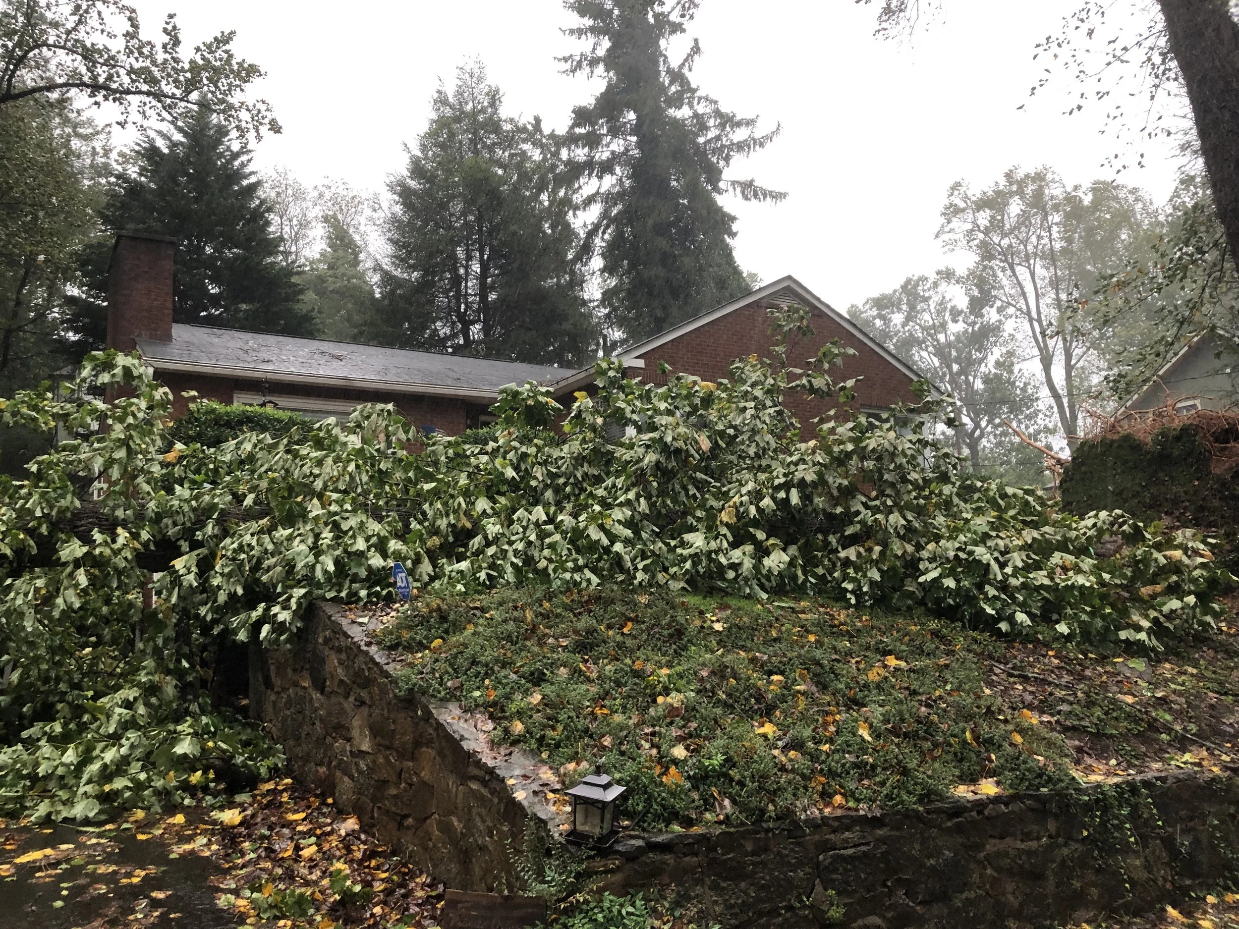 Welcome to DrBatten.com!