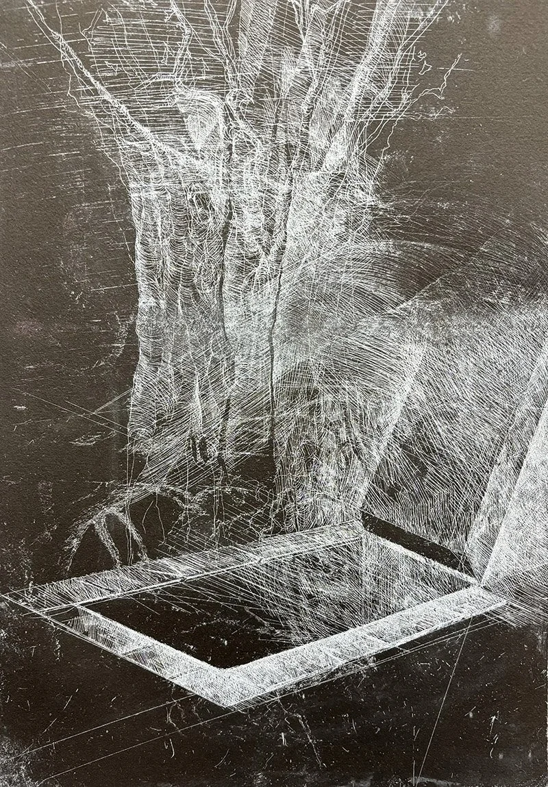 Current Exhibitions — Bromfield Gallery