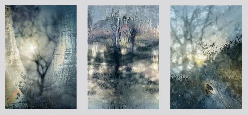 Upcoming Exhibitions — Bromfield Gallery