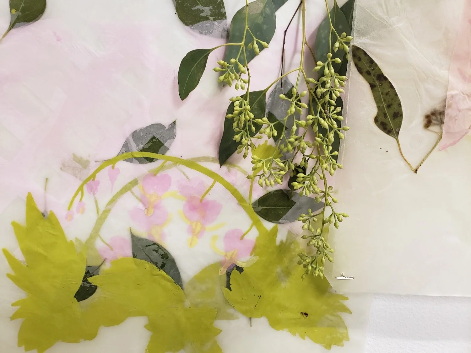 Non-Archival — Liv Anderson