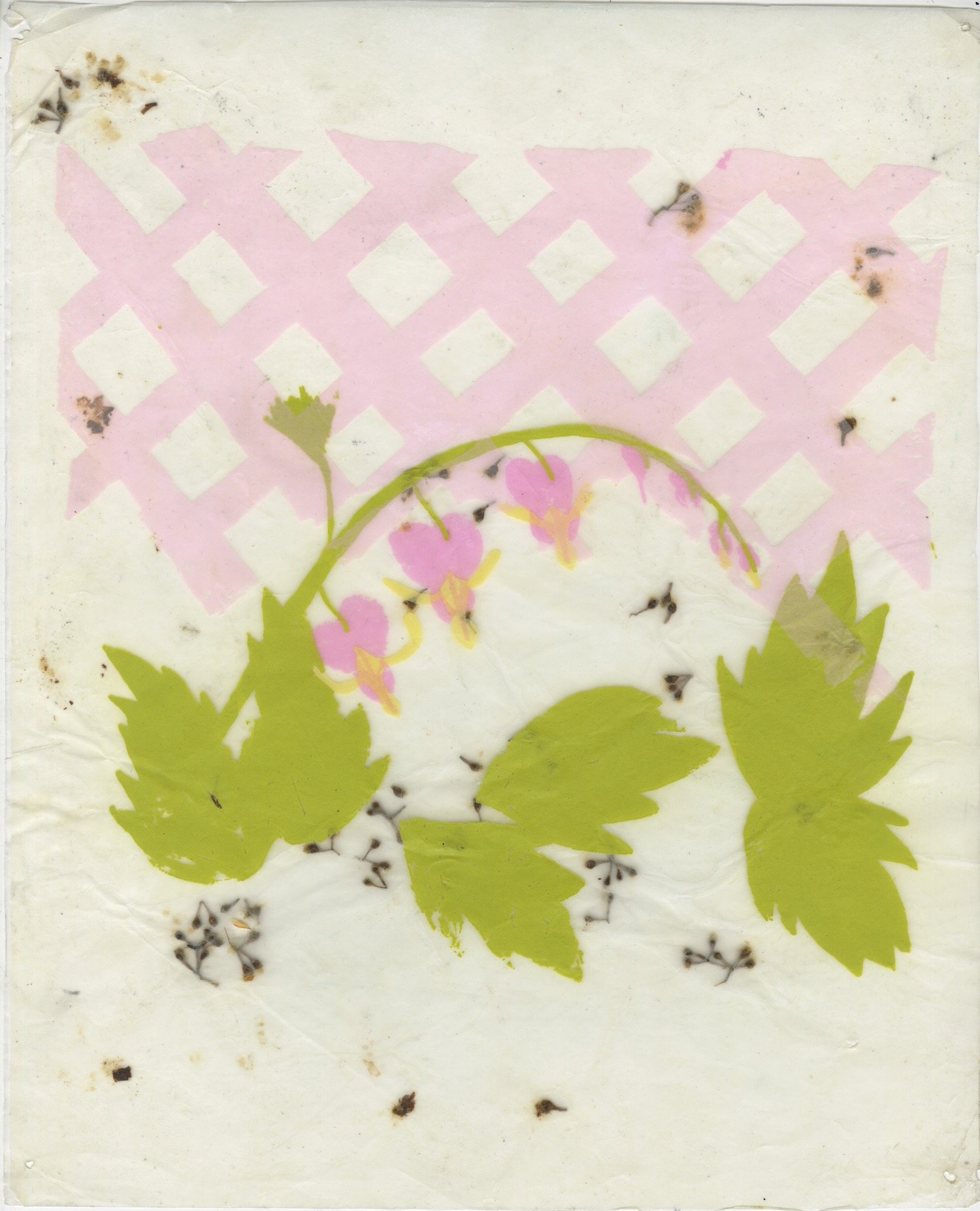 Non-Archival — Liv Anderson